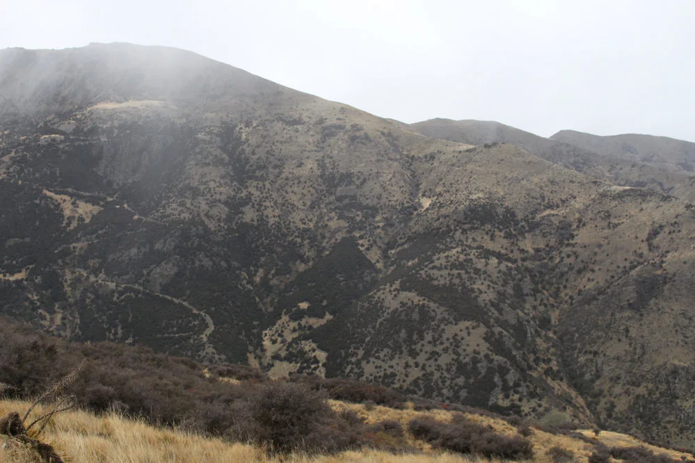 2017 LU Farm Mt Grand 017 | Record | DigitalNZ