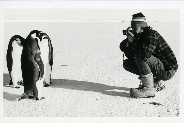 Gary Neale and Emperor Penguins | Record | DigitalNZ