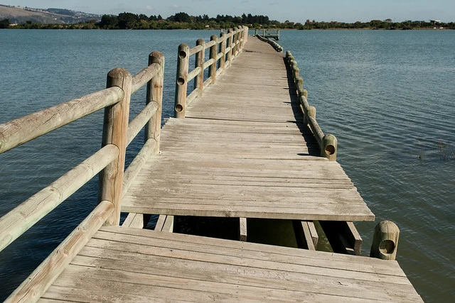 The Wobbly Jetty - 2 | Record | DigitalNZ