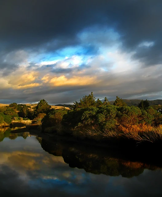 Pauatahanui Stream Observed Sometimes Later Than Ever Before | Record ...