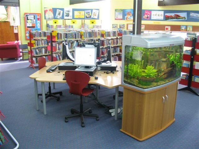 PCs and fish tank, Children's area, Timaru Library | Record | DigitalNZ