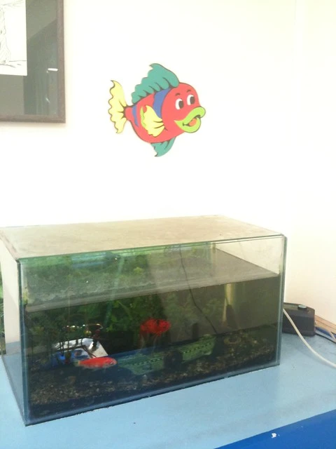 Fish tank at Mosgiel library | Record | DigitalNZ