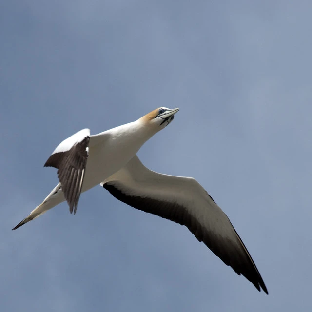 what's the frequency, Kenneth? | Record | DigitalNZ