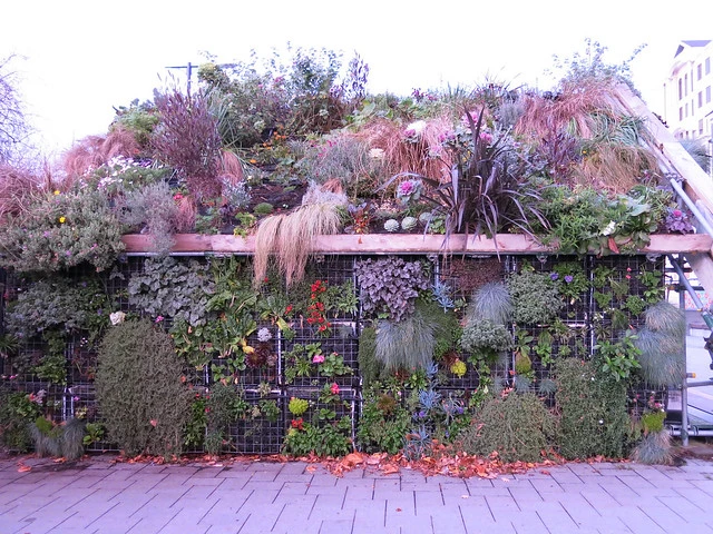 Whare by Chris Heaphy in Cathedral Square | Record | DigitalNZ