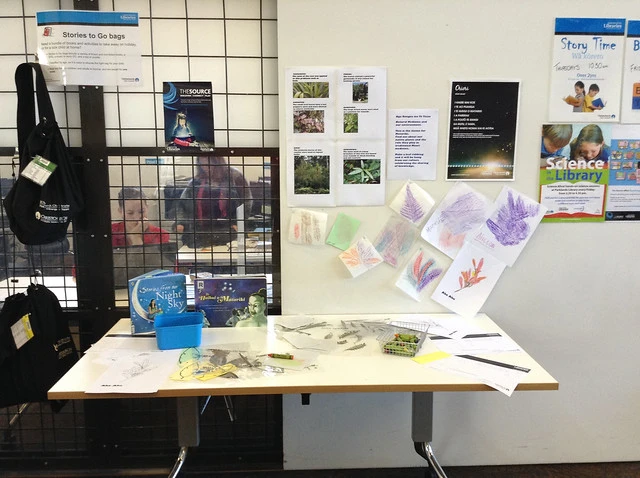 Matariki leaf rubbing table at Parklands Library | Record | DigitalNZ