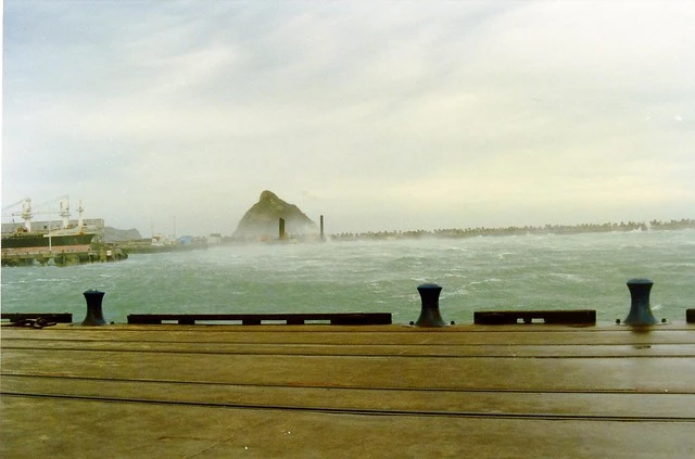 Cyclone Bola (1988) - New Plymouth | Record | DigitalNZ