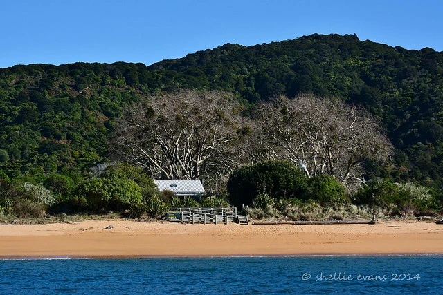 Totaranui DOC Camp, Abel Tasman National Park, Tasman Bay, NZ | Record ...