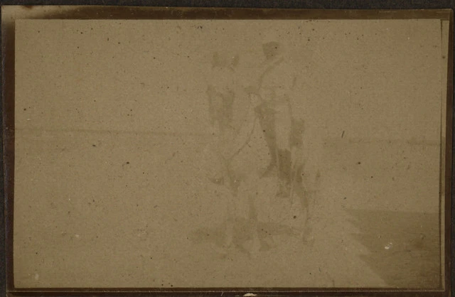 Mounted trooper, Egypt or Palestine, 1915-1919 / WRD Laurie | Record | DigitalNZ