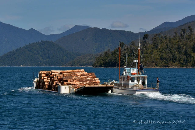 Meet the people on the Pelorus Mail Boat Run | Record | DigitalNZ