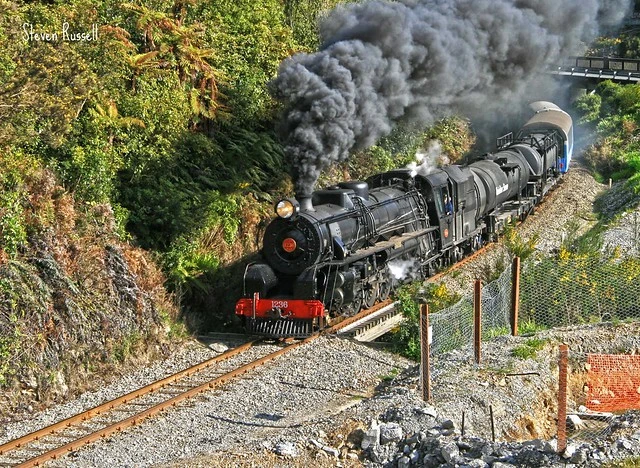 Kiwi Point | Record | DigitalNZ