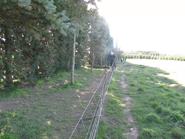 MVI_2425 | Record | DigitalNZ