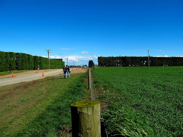 IMG_2435 | Record | DigitalNZ