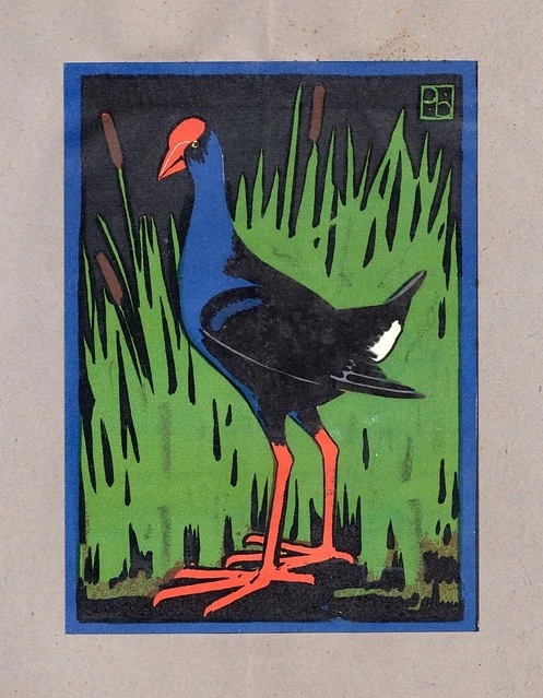 Pukeko: Portfolio of birds in colour, 1919 | Record | DigitalNZ