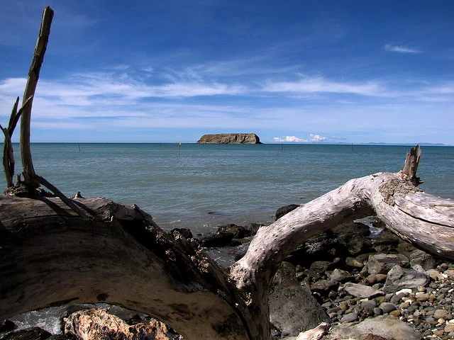 Motunau Island | Record | DigitalNZ