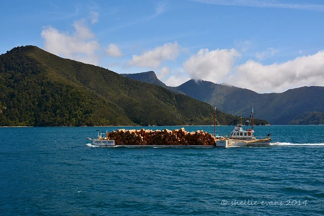Meet the people on the Pelorus Mail Boat Run | Record | DigitalNZ