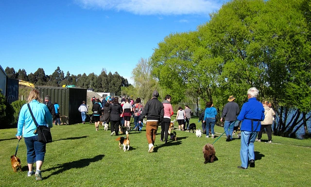 The NRG + Great Dog Walk | Record | DigitalNZ