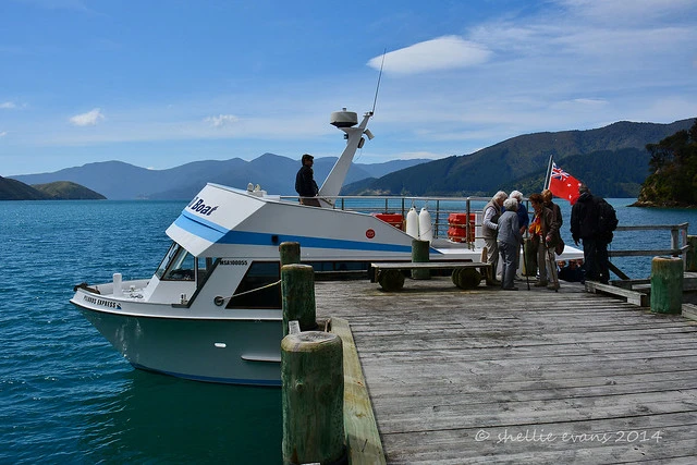 Meet the people on the Pelorus Mail Boat Run | Record | DigitalNZ