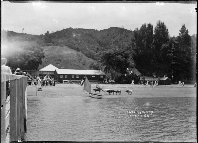 Cowes Bay, Waiheke Island, taken from the wharf looking west | Record ...