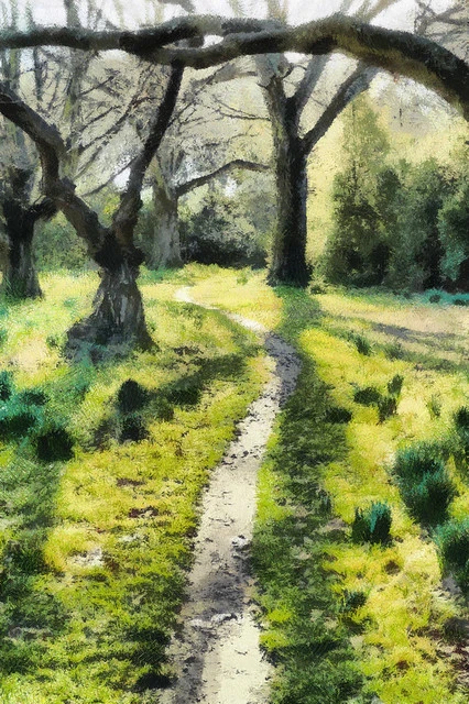 It is nearly spring in Hagley Park | Record | DigitalNZ