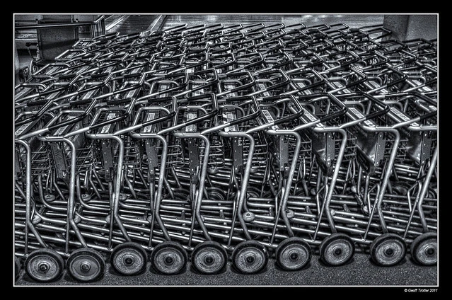 Trollied! | Record | DigitalNZ