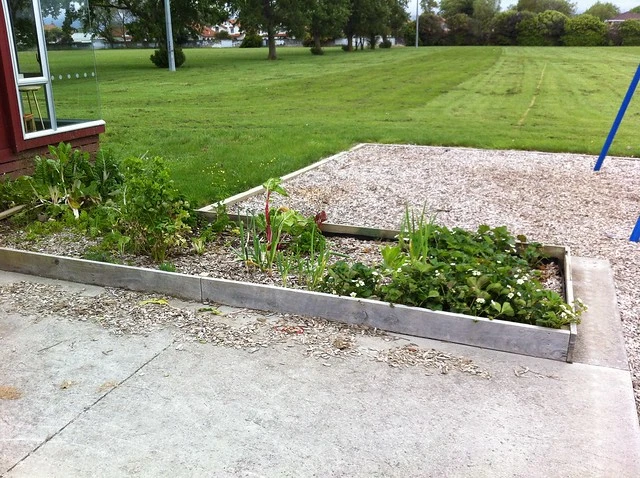 Vege garden, Te Patikitiki Library | Record | DigitalNZ