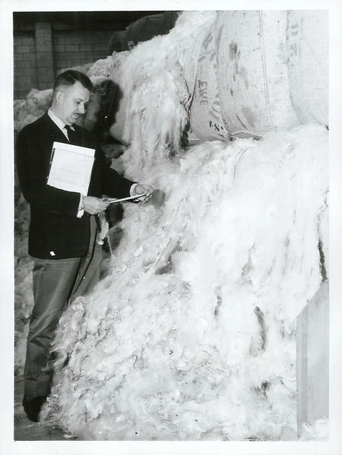 Wool Auction in the Town Hall, Wellington (1967) | Record | DigitalNZ