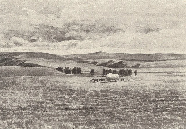 Big Blue Mountain Paddock, Makareao Estate, 1896 | Record | DigitalNZ