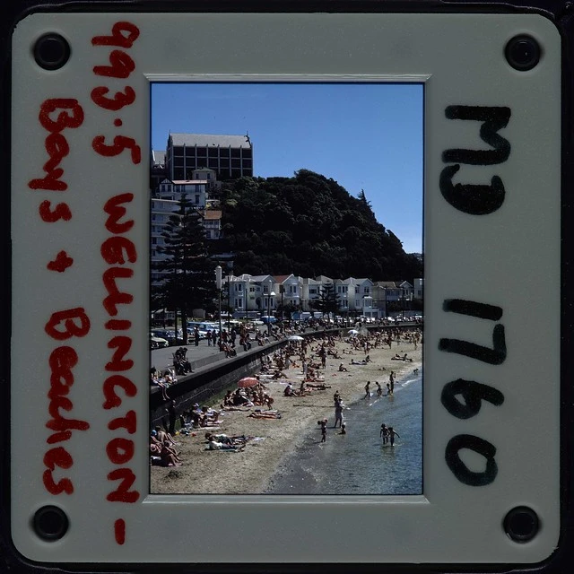 Holiday makers on the beach at Oriental Bay, Wellington Photographer ...