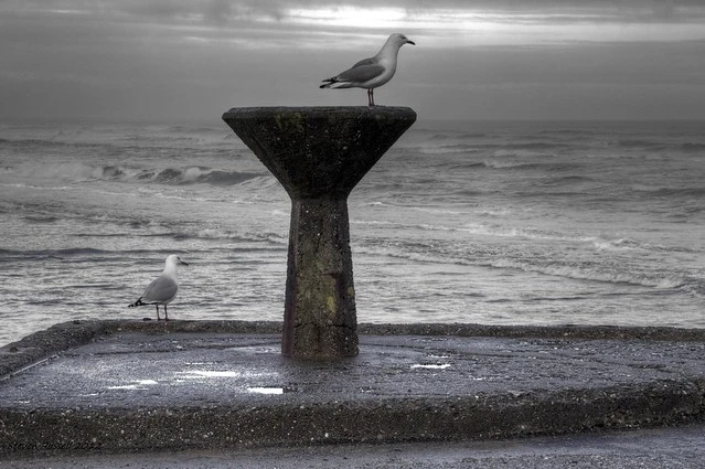 Waching the Surf | Record | DigitalNZ