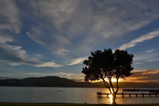 Shelly Bay | Record | DigitalNZ