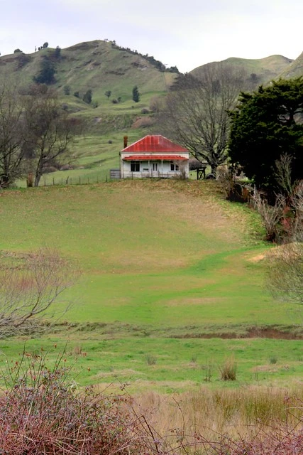 Old house, Mapiu, Waikato, New Zealand | Record | DigitalNZ