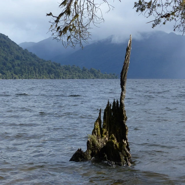 Lake Brunner, West Coast, New Zealand | Record | DigitalNZ