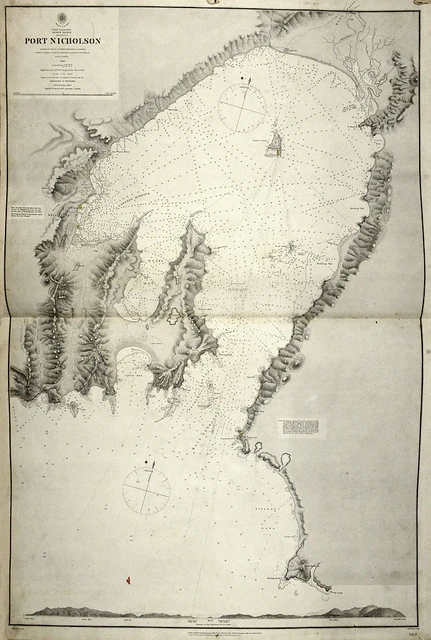 Chart of Port Nicholson, 1856 | Record | DigitalNZ
