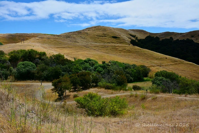 Otatara Pa Terraces, Taradale, HB | Record | DigitalNZ