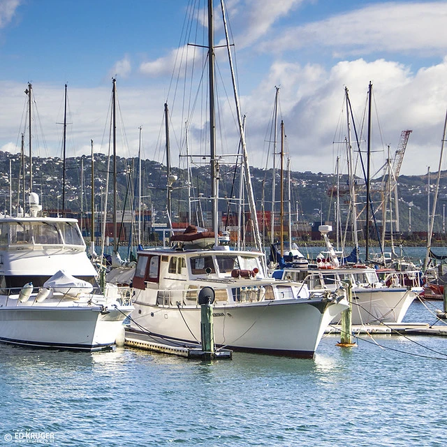 Wellington New Zealand-6572 | Record | DigitalNZ