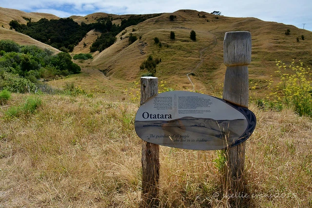 Otatara Pa, Taradale, HB | Record | DigitalNZ