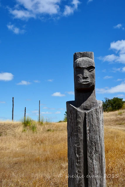 Otatara Pa, Taradale, HB | Record | DigitalNZ