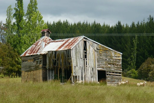 Dieing quietly | Record | DigitalNZ