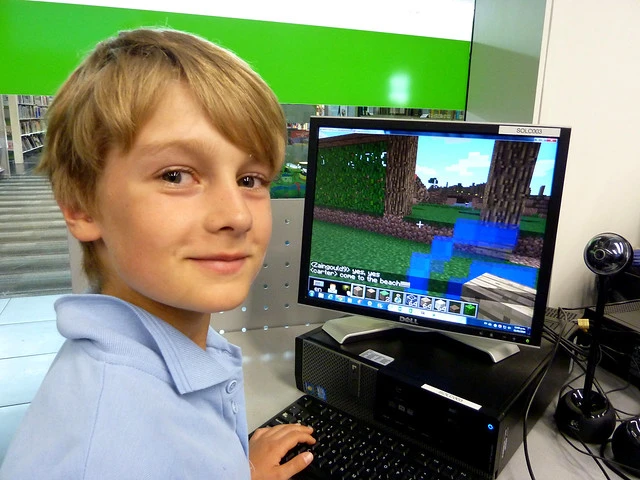 Minecraft | Record | DigitalNZ