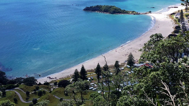 Mt Maunganui- To the top of the Mount | Record | DigitalNZ