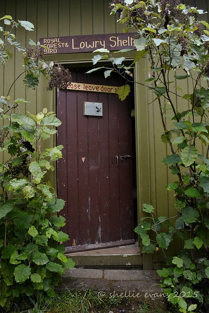 Blowhard Bush Reserve, Kawekas, HB | Record | DigitalNZ