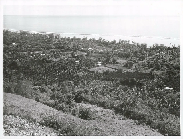 A view from Mount Maunga Roa showing Arorangi Village, Rarotonga 1969 ...