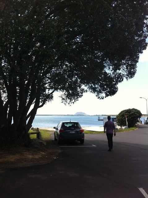 Omokoroa Library carpark | Record | DigitalNZ