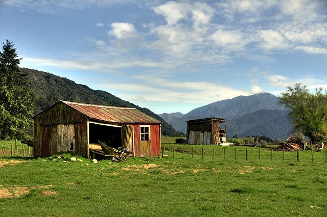 Old farm shed, Matakitaki Valley, Murchison, Tasman, New Zealand | Record | DigitalNZ