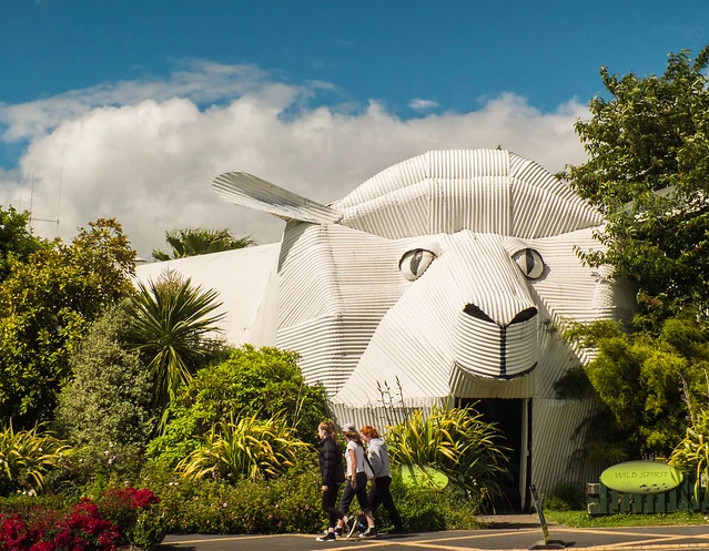 The Big Sheep | Record | DigitalNZ