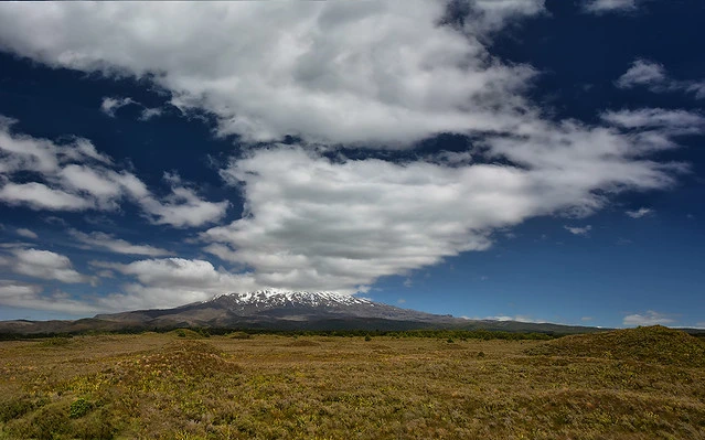 Perpetual Equilibrium | Record | DigitalNZ