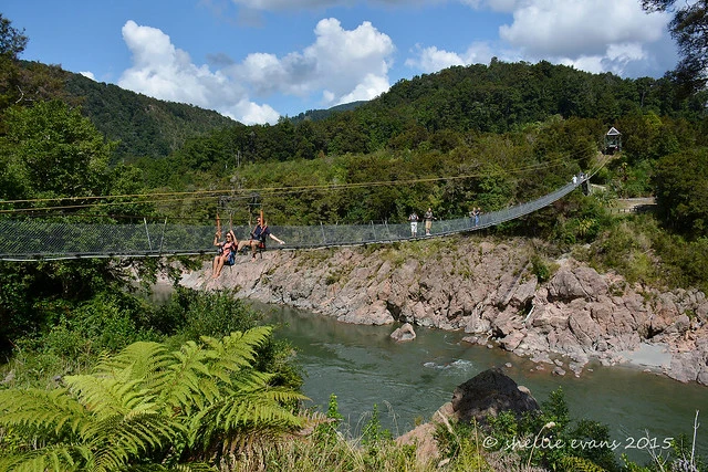Buller Gorge Swingbridge | Record | DigitalNZ