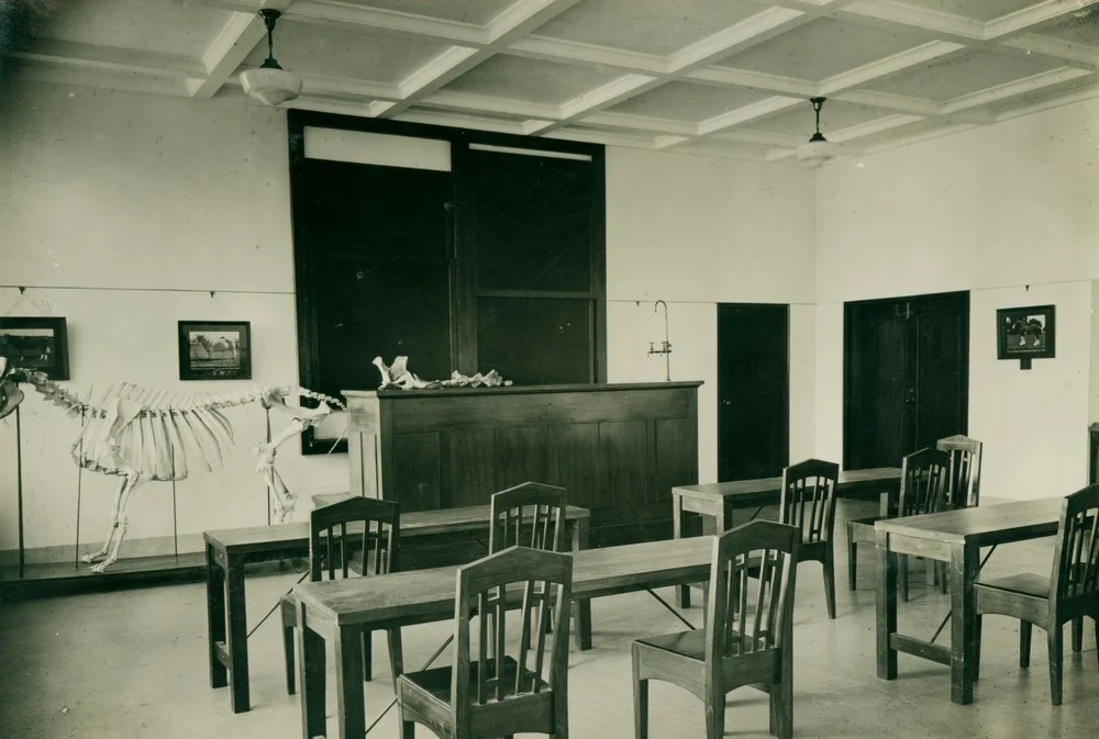 Main Building, laboratory, circa 1935 | Record | DigitalNZ