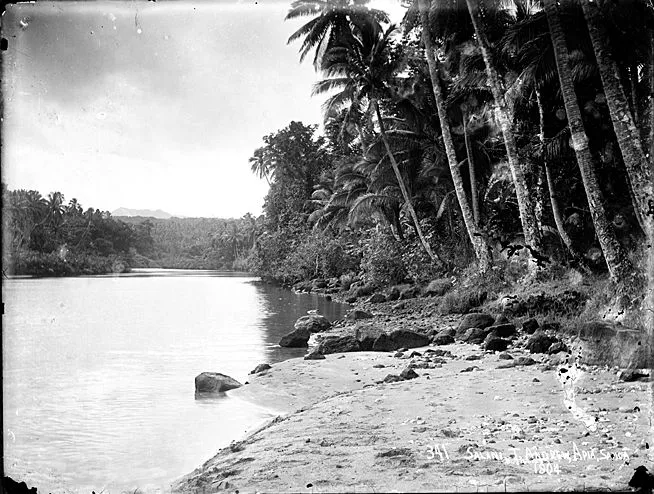 Salani | Record | DigitalNZ