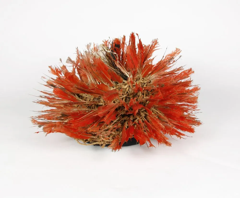 Feather cap | Record | DigitalNZ